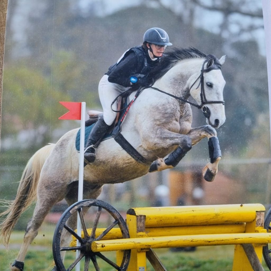 JACKPOT du ROC – Centre Équestre et Élevage du Castéras